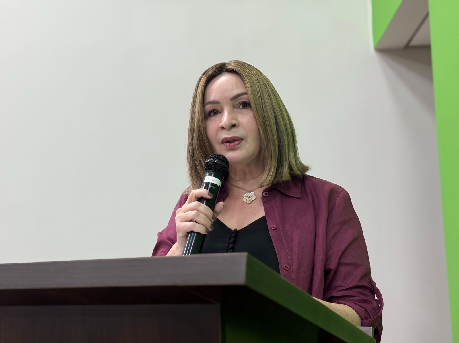 Lei Joyce Araújo: propostas de Socorro Neri para criminalizar ...